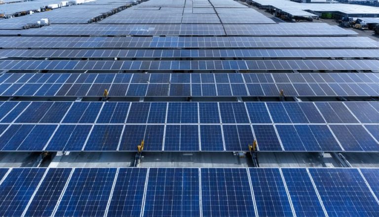 Solar Panel Recycling: How Europe's E-Waste Centers Are Shaping a ...